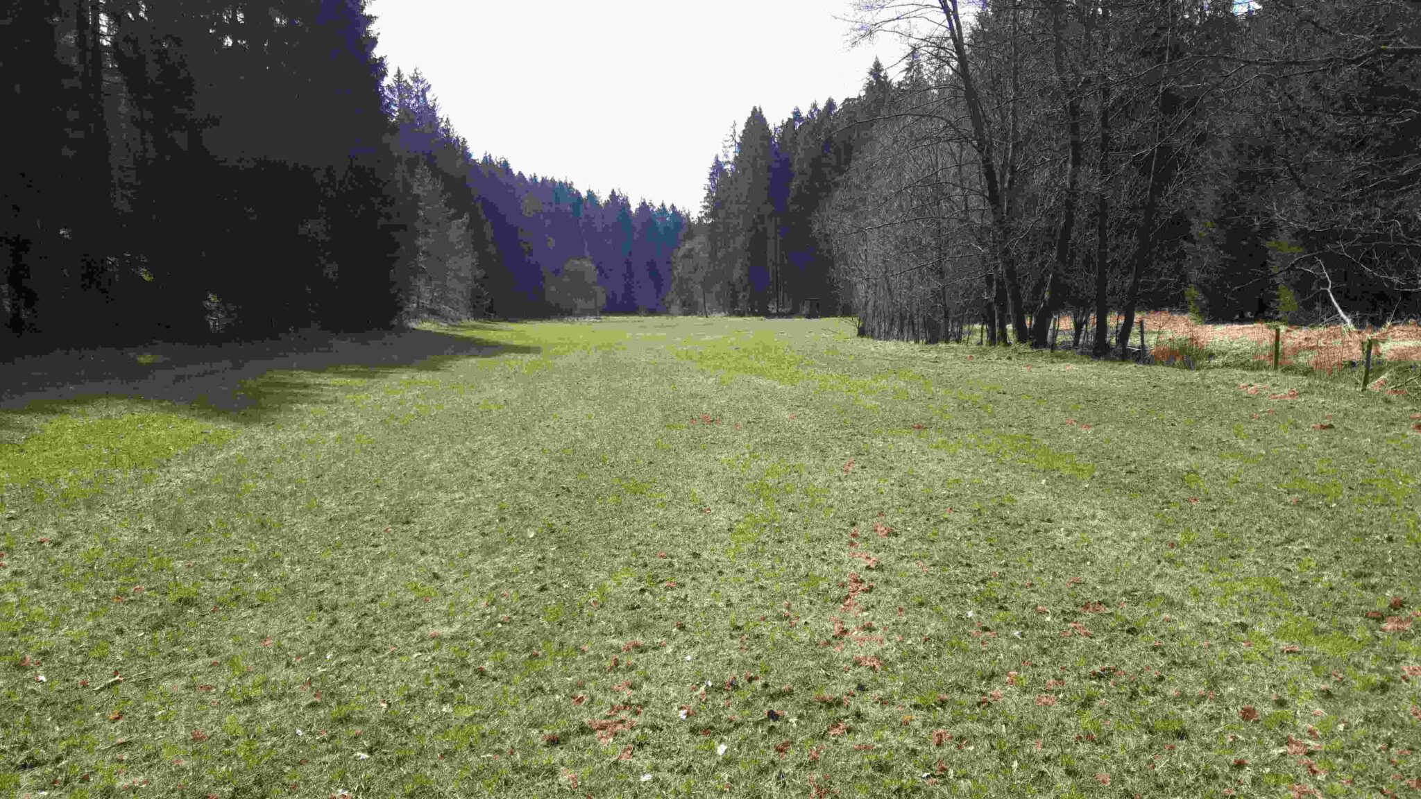 07_image007 – Weidenbach/Eifel